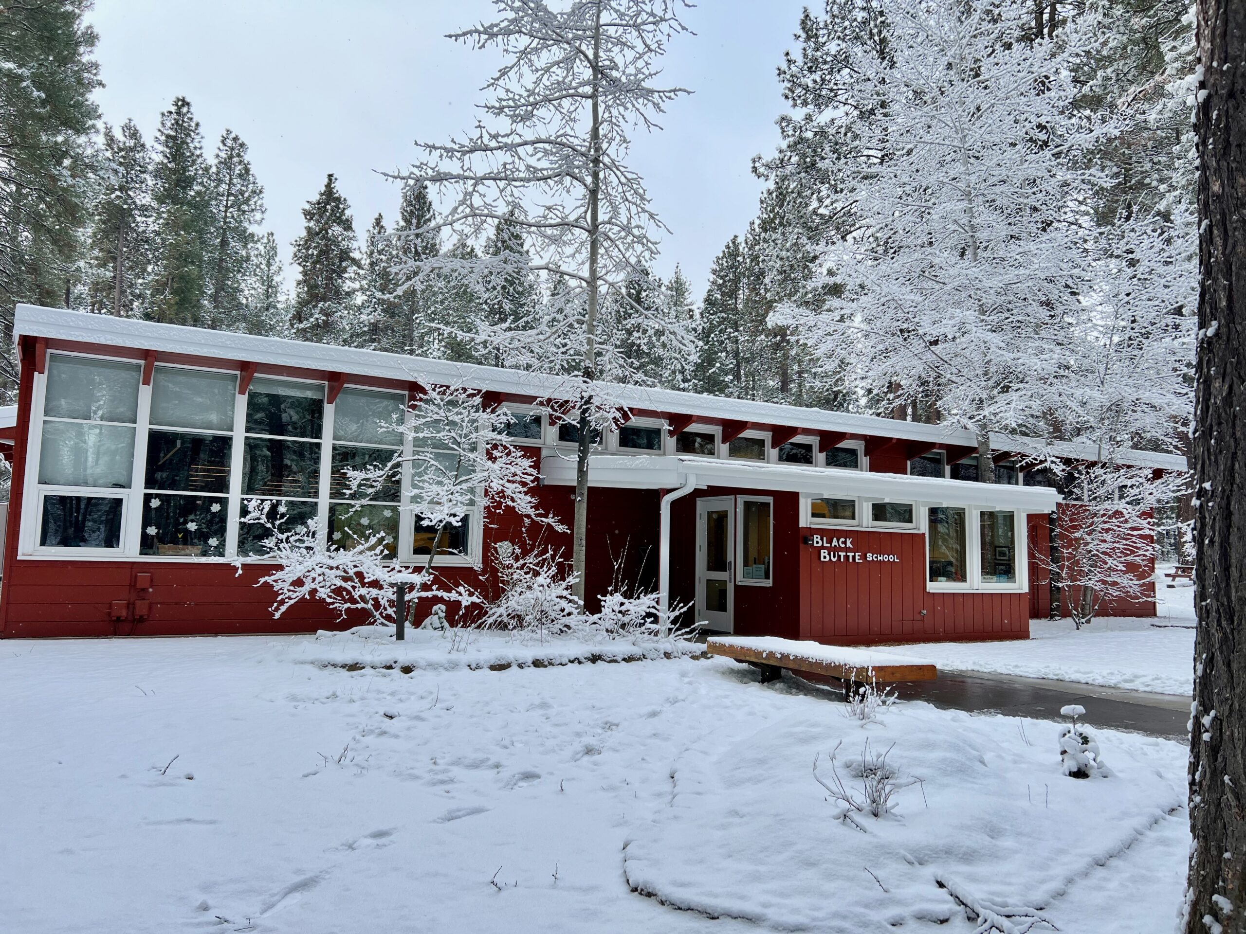 25-26: Week 17 Classroom News | Black Butte School District