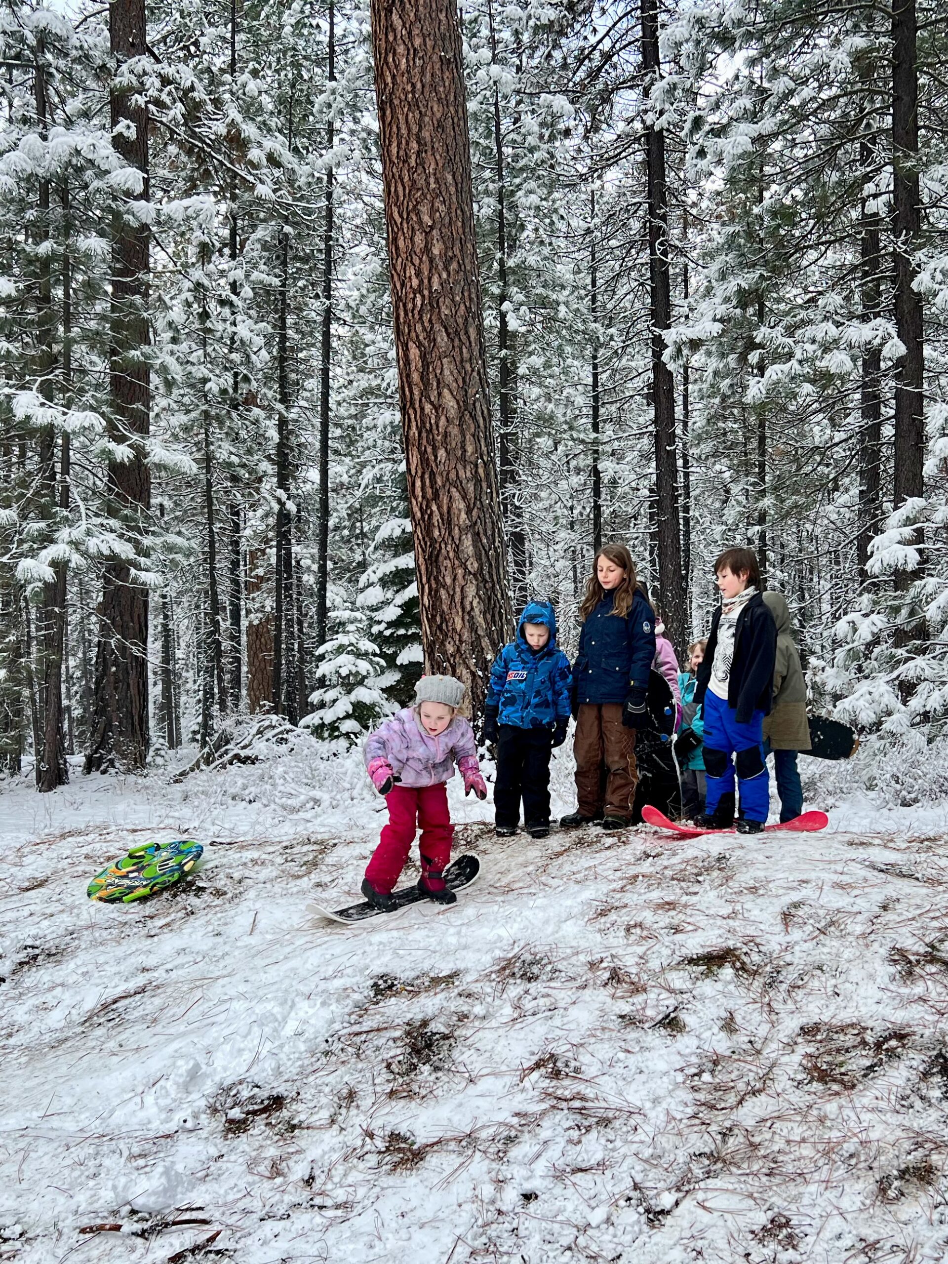 25-26: Week 17 Classroom News | Black Butte School District