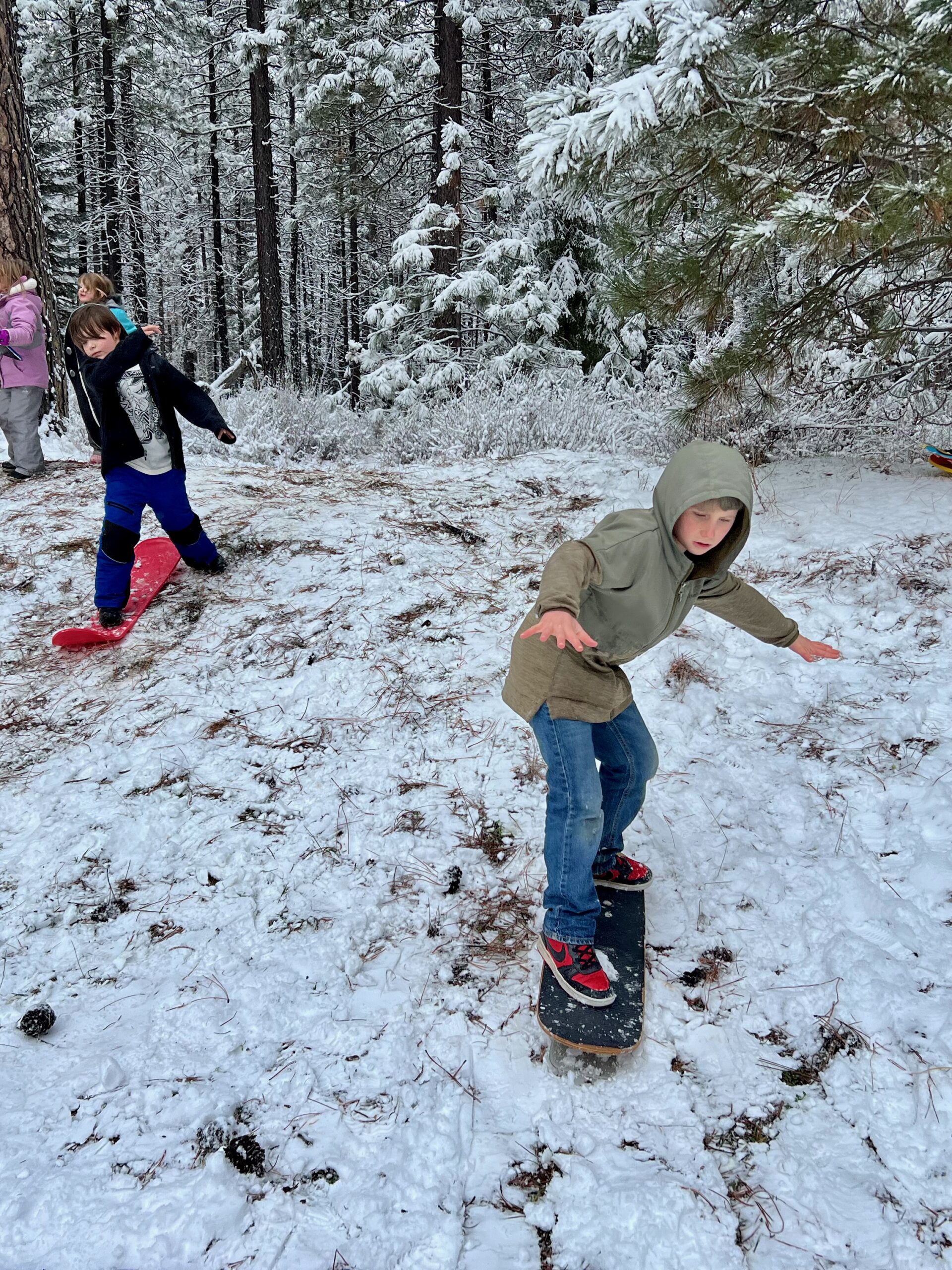 25-26: Week 17 Classroom News | Black Butte School District